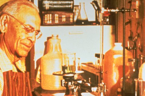 Forbes Bros. Group of Companies - Delivering Powerful Solutions ...